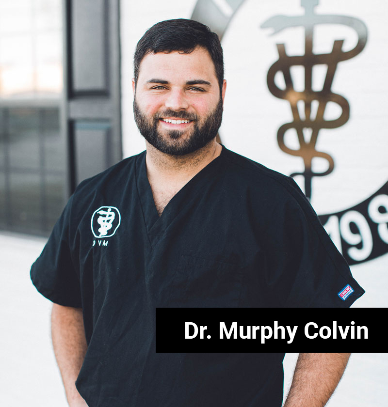 Team - Vet in Bossier City | North Louisiana Vet Center